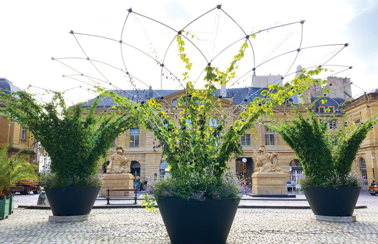 Urban Canopee Corolle - Maglin